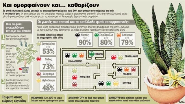 ΡΑΔΙΟ ΚΑΛΑΜΠΑΚΙ : Τα φυτα που καθαριζουν τον αερα του σπιτιου μας