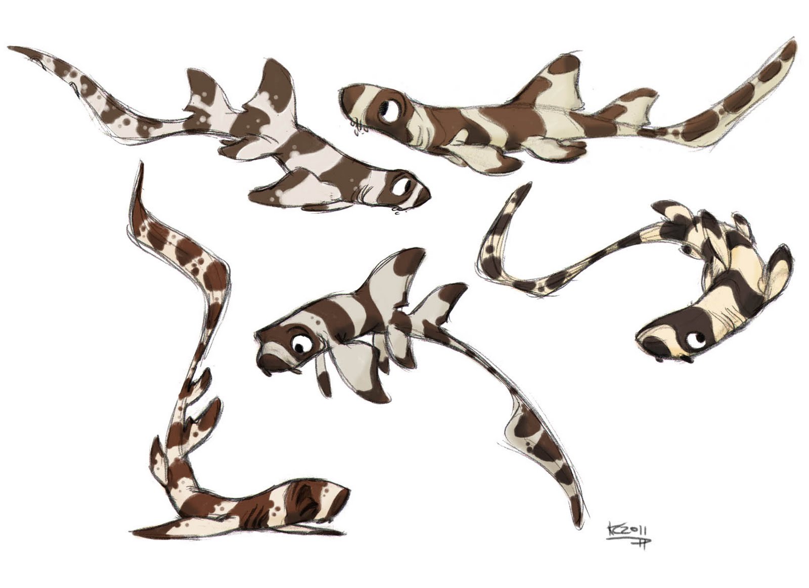 The Polarkeet Den: Brownbanded Bamboo Shark