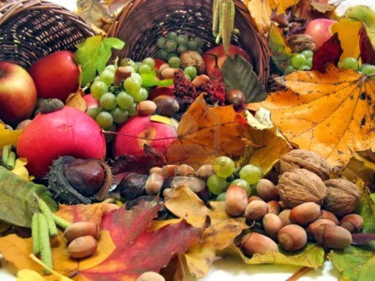 Ecole Maternelle Publique Carpeaux: Dégustation de fruits d'automne