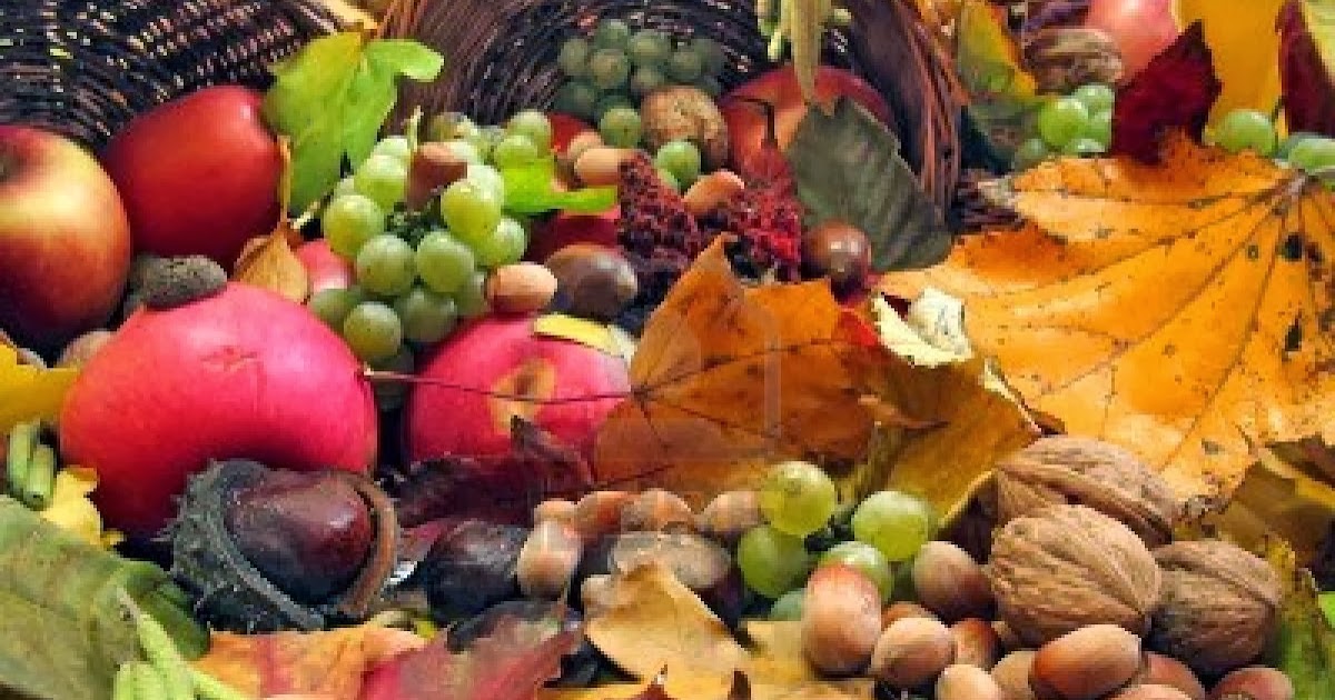 Ecole Maternelle Publique Carpeaux: Dégustation de fruits d'automne