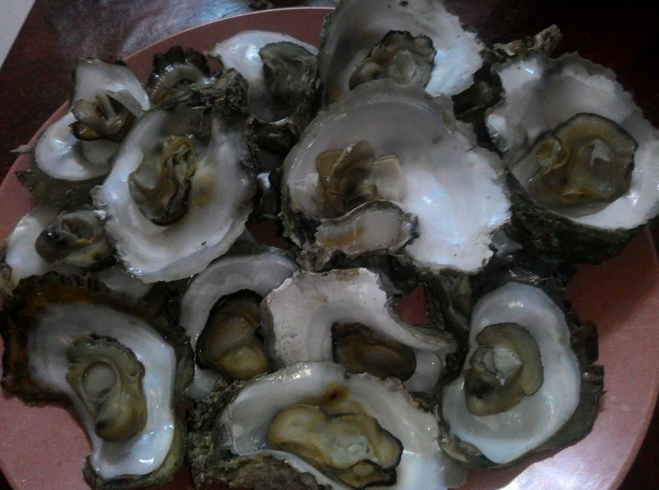 Atuk: TIRAM DI PANTAI SEKENDI