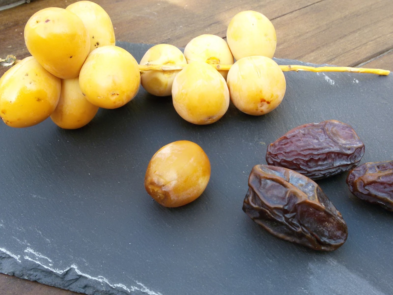 Natural Nature: Tip van de week Dadel