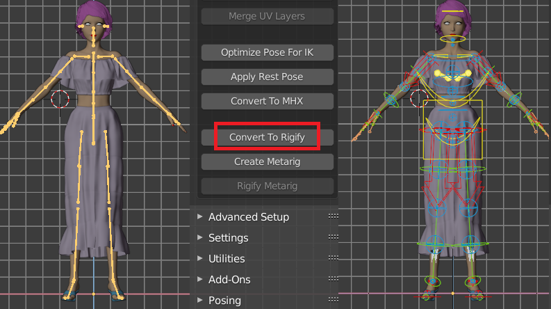 Diffeomorphic: Rigging Section