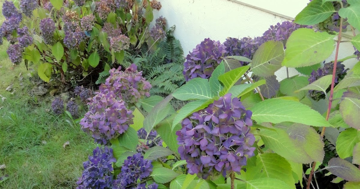 danger garden: In a Vase on Monday, the "Goodbye Neighbors" edition