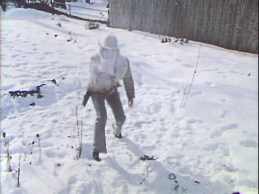 The Alien Factor (1978) Review by RevTerry - VideoReligion Cult Film Review