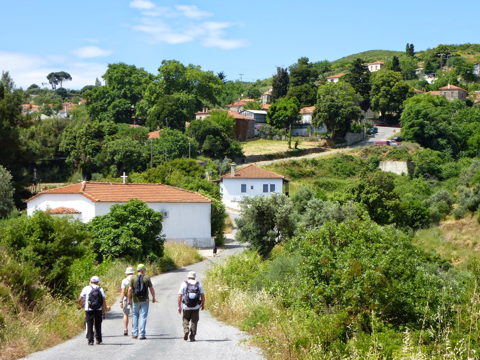Walking in Pelion: Siki-Xinovrisi