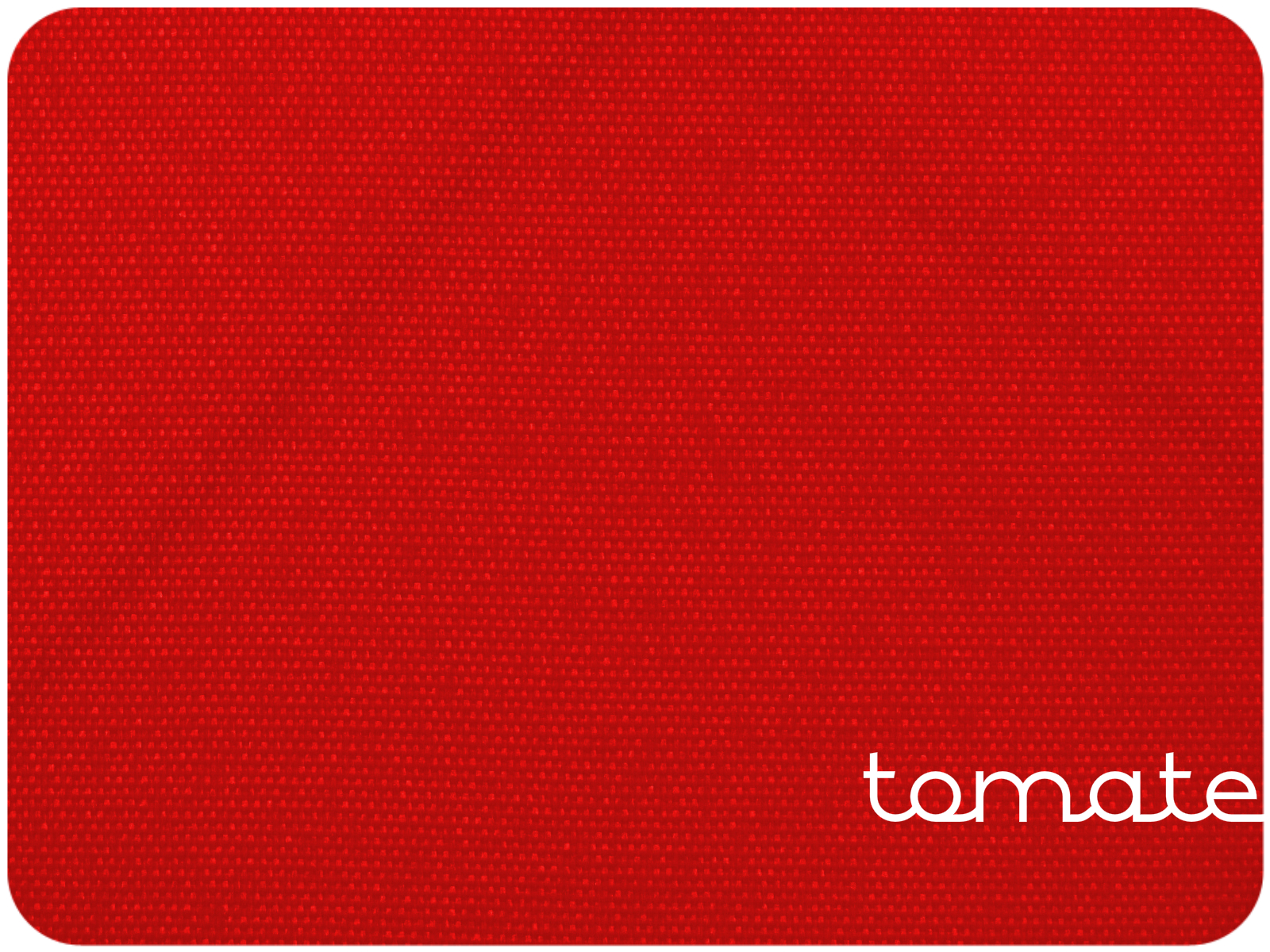 irreal tienda: estampados y colores