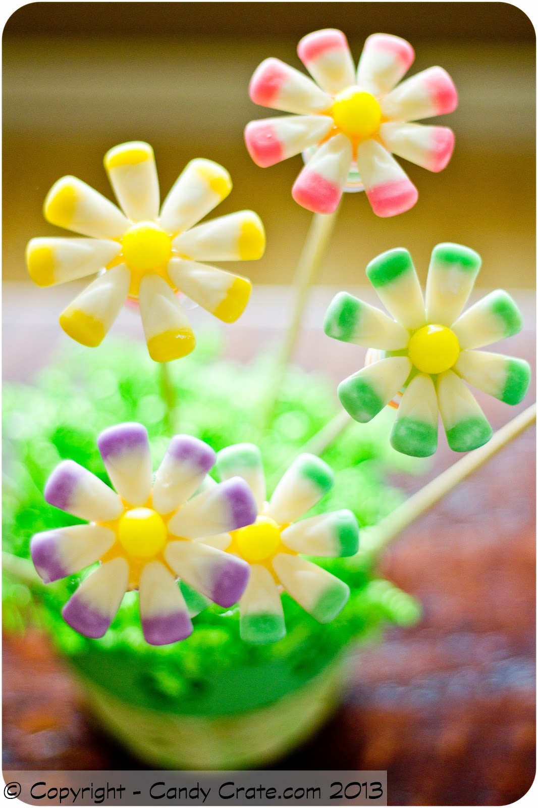 Candy Crate : Bunny Tails and Candy Flowers!