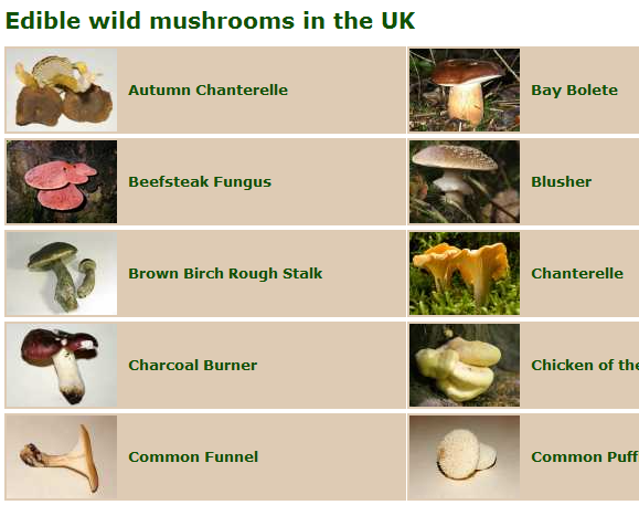 Food and Wine, Food Pyramid, Cuisine at Home: Wild Mushrooms Guides