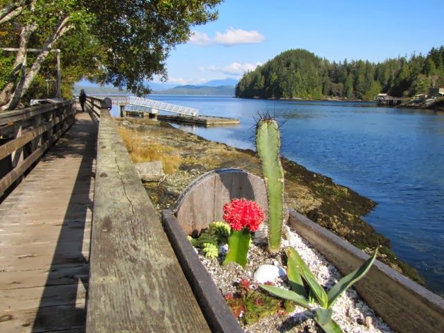 Millennium Dragon: A Day on Vancouver Islands West Coast - Travelling ...