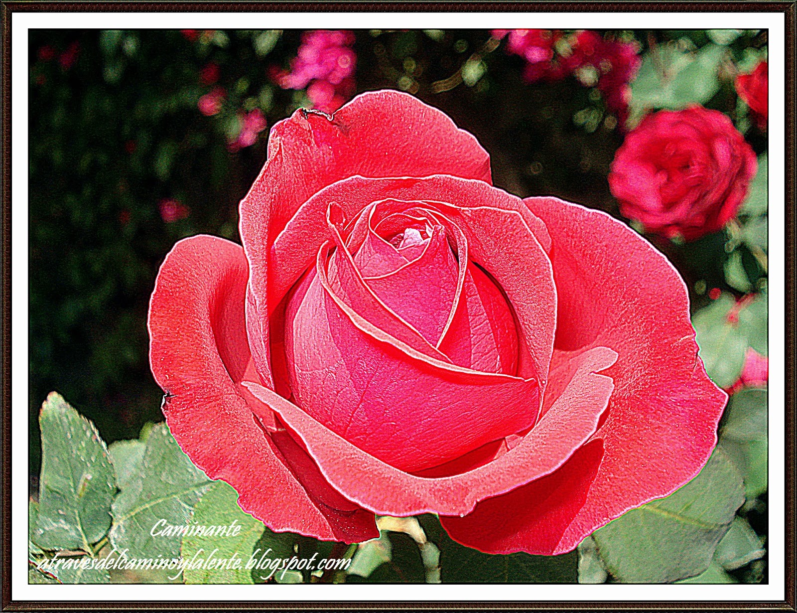 A través del camino y la lente: XIKIYEHUA IN XOCHITL (GUARDA ESTA FLOR)