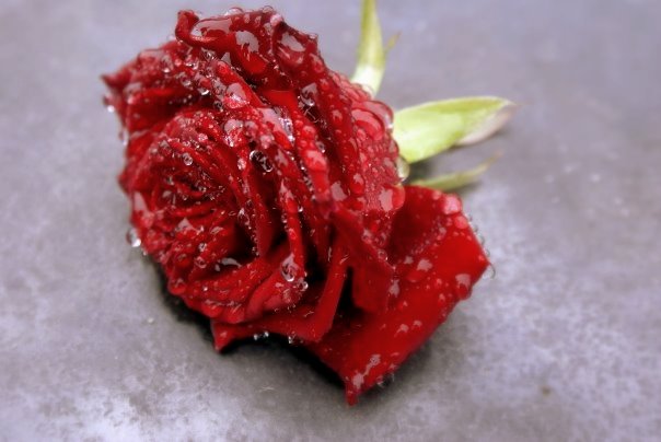 Fotoblogg 2SF 2011/2012