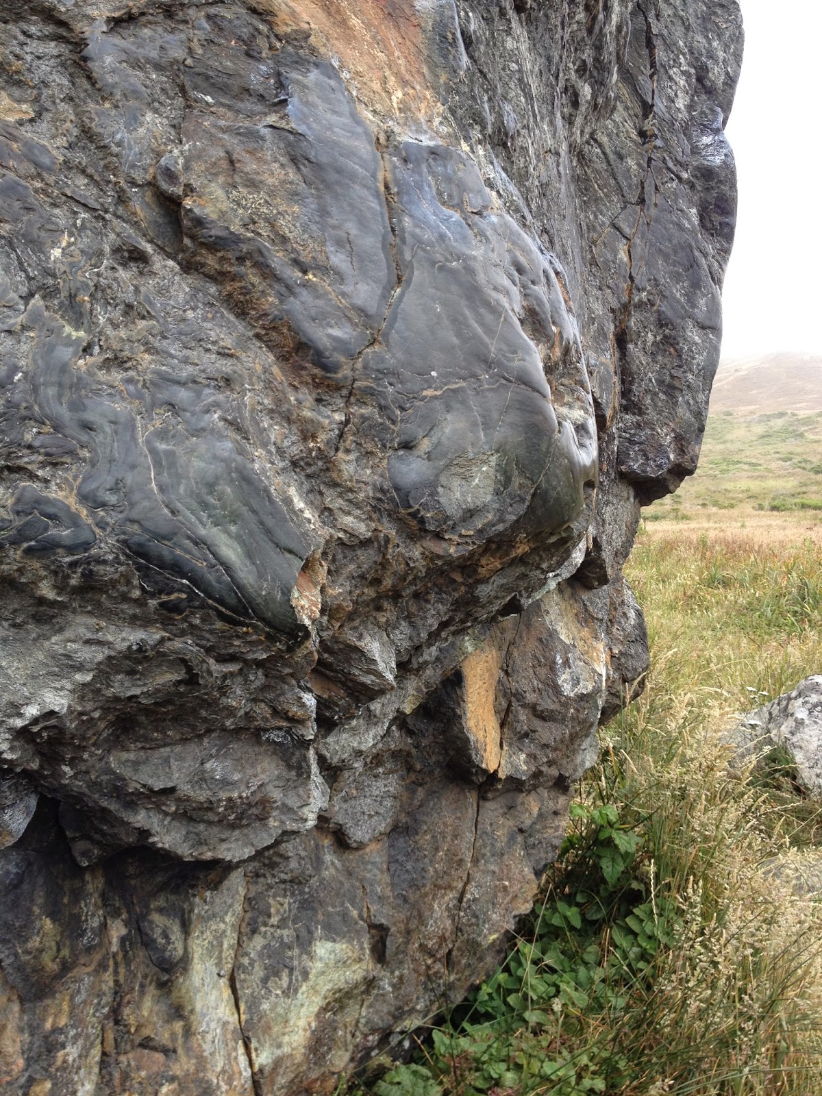 High Heels & Flip-Flops: Five Things Thursday: Best of the West