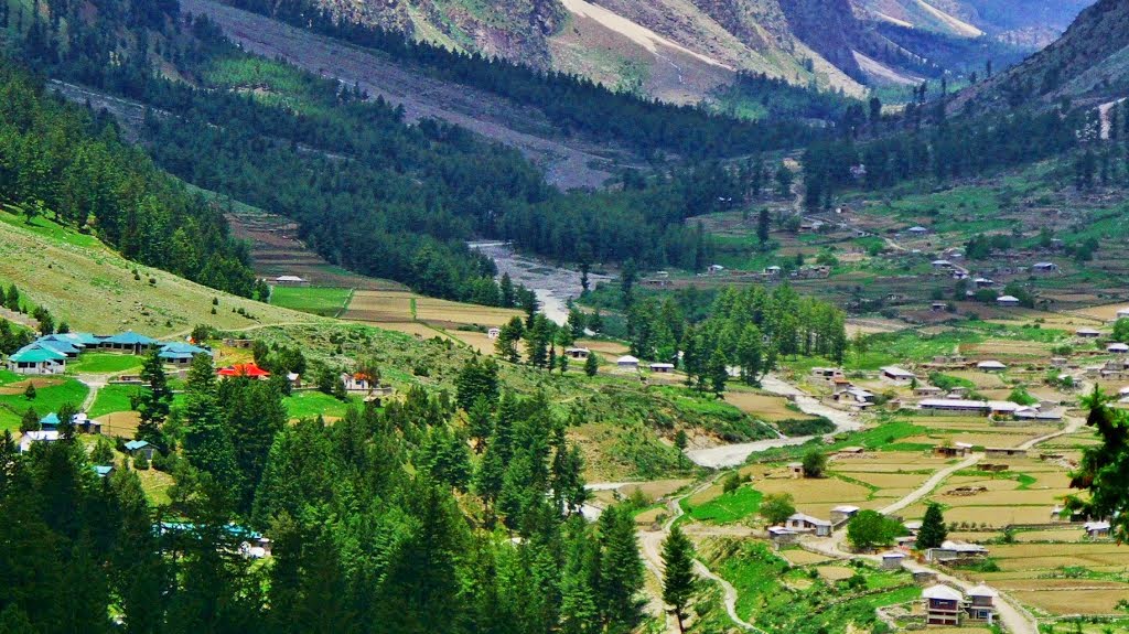 ExploreEPakistan: Naltar valley Gilgit