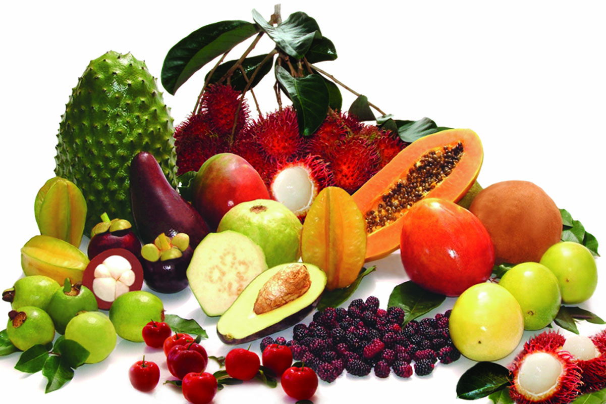 Hoy celebramos el Día Regional de las Frutas: Costa Rica cuenta con más ...