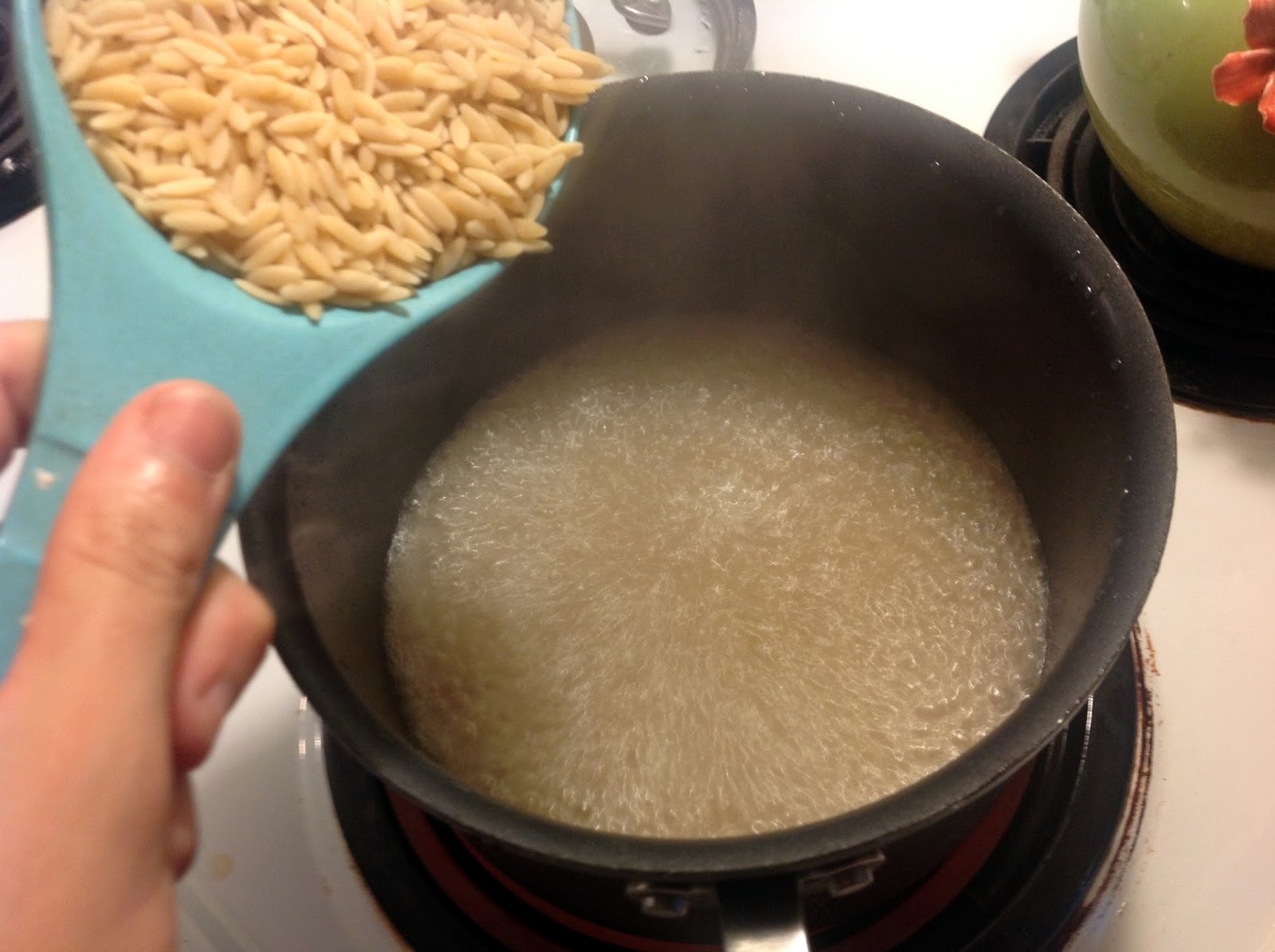 the dog mom: parmesan orzo