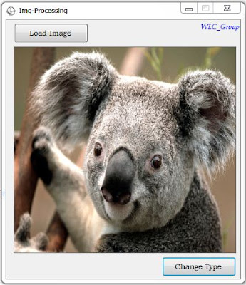 C# - Image Type Conversion | WLC_Programming Knowledge