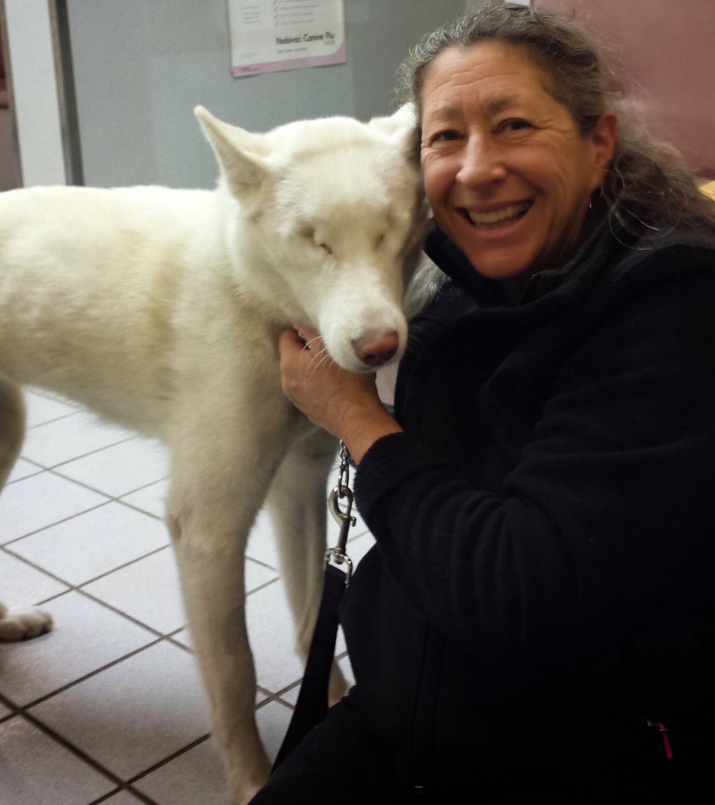 The Adventures of Tala and Henry: Introduction: