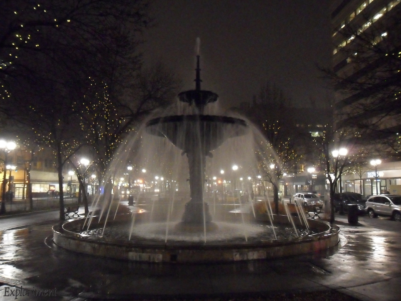 Park Fountain At Night