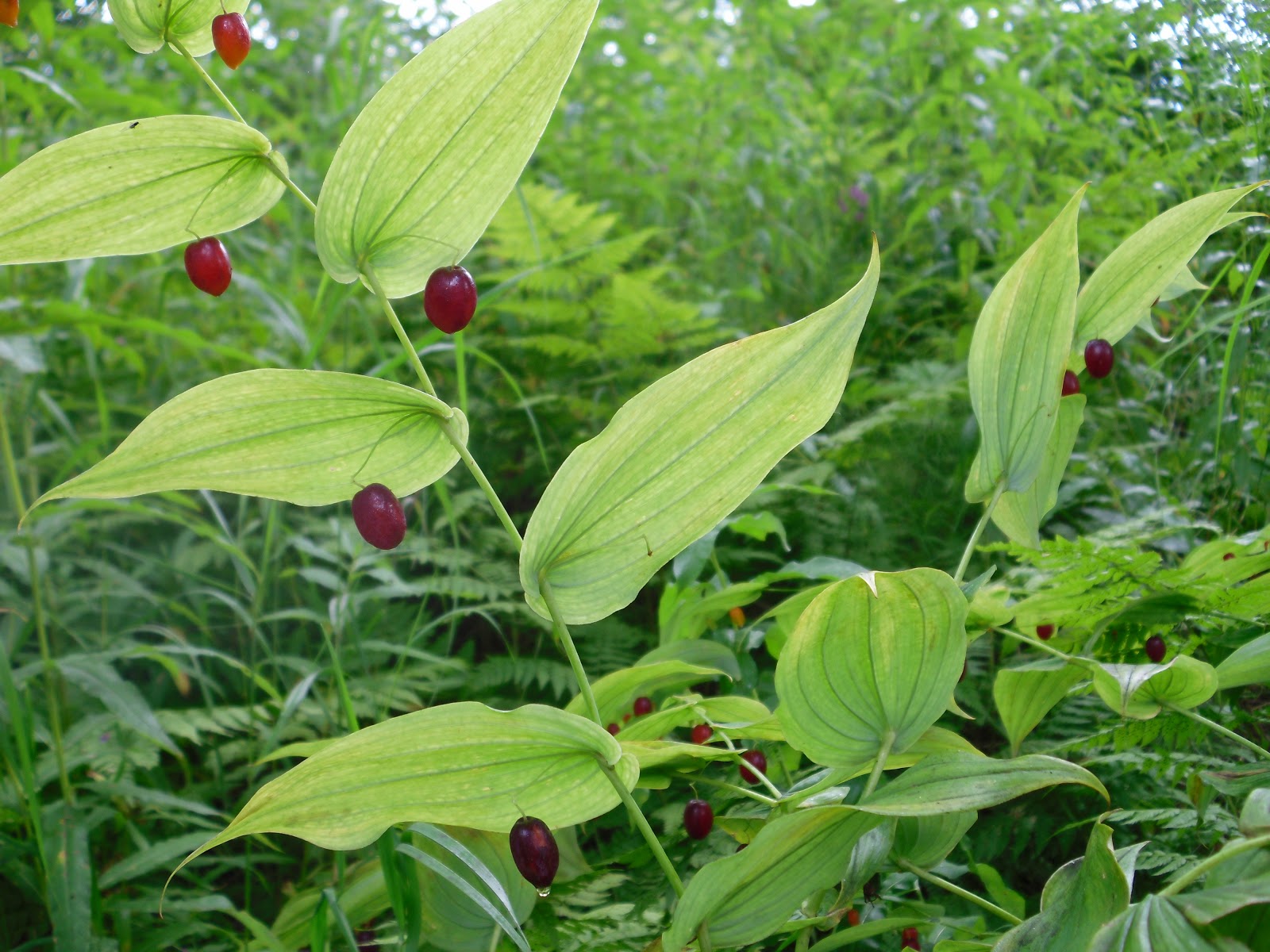 Enjoying the Moment: The Last Frontier