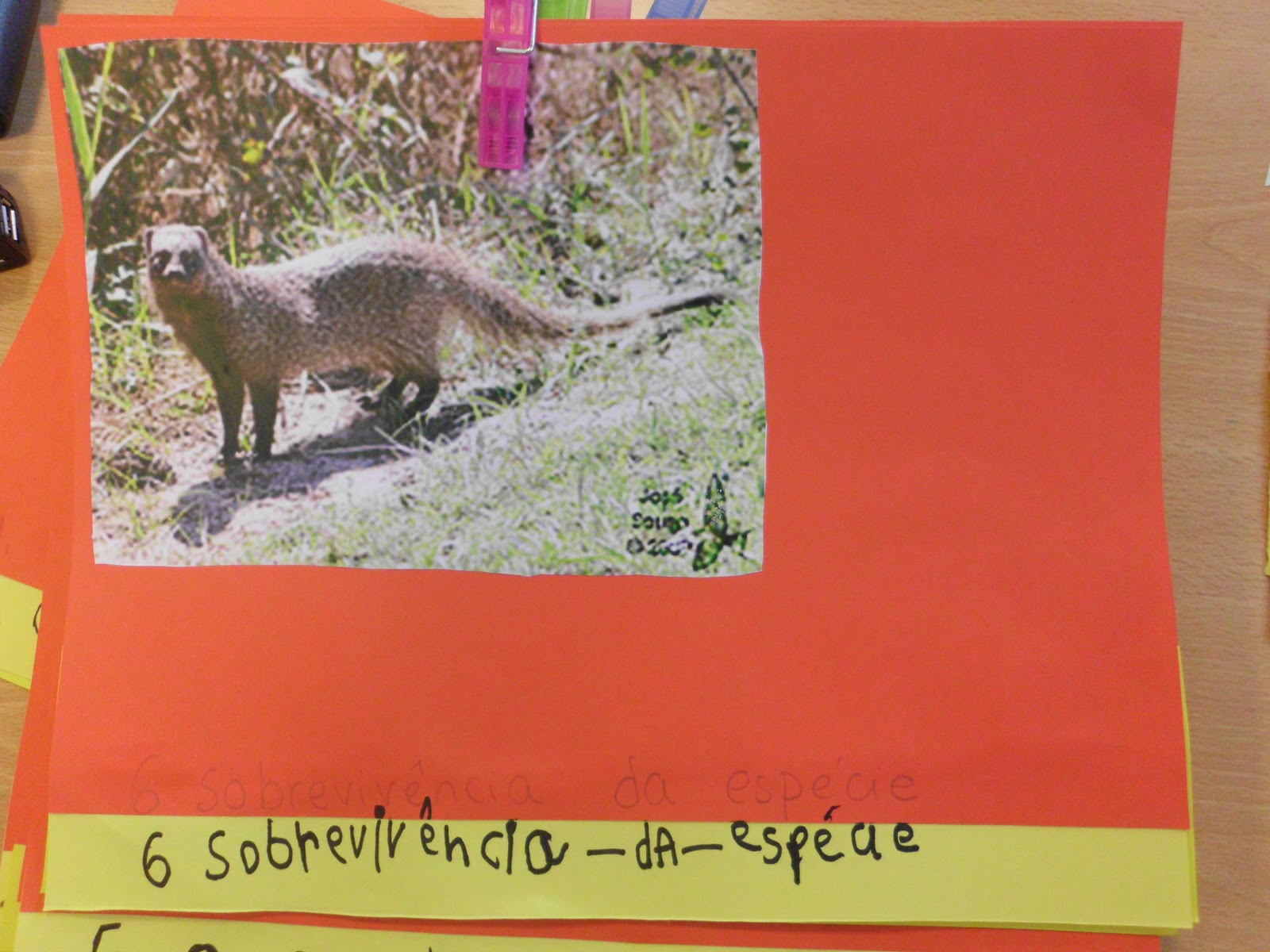 CEID'Outeiro - Sala Intelectual: projeto "o saca-rabos"