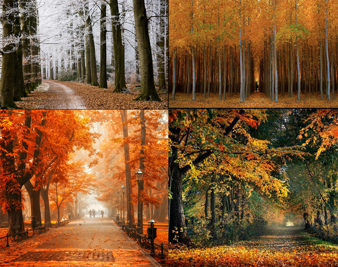 Tablouri abstracte picturi moderne ulei: Tablou decorativ de toamna in ...