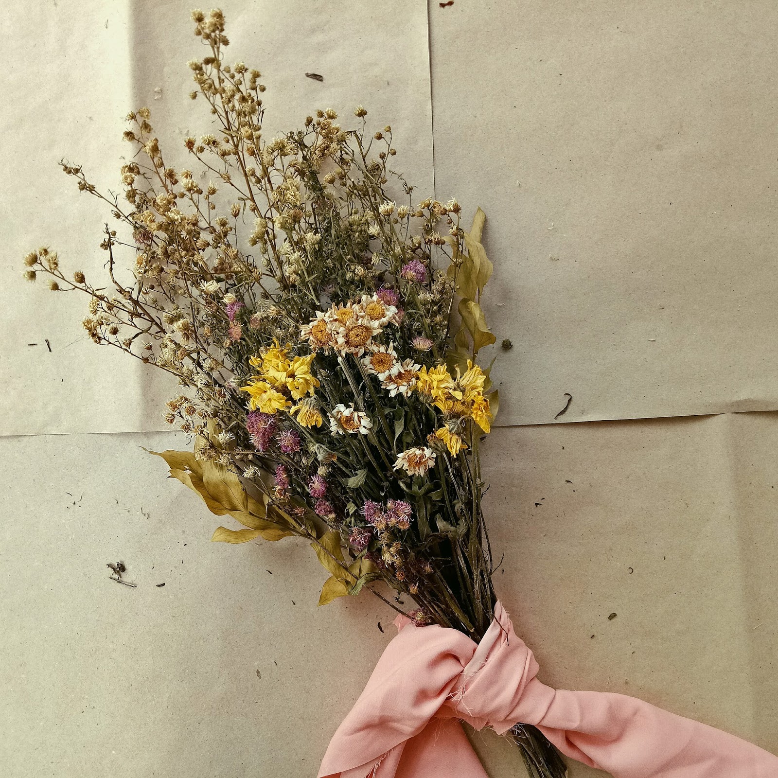 51+ Konsep Bunga Mawar Aesthetic, Bunga Mawar