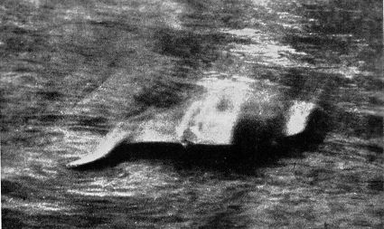 LOCH NESS MONSTER: Is the Hugh Gray Photograph a Swan?