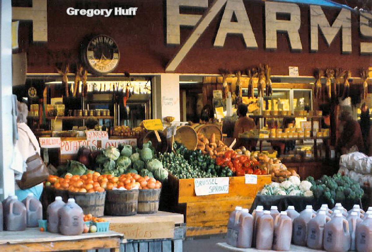 ARTMAN GREG'S SCRATCH PAD