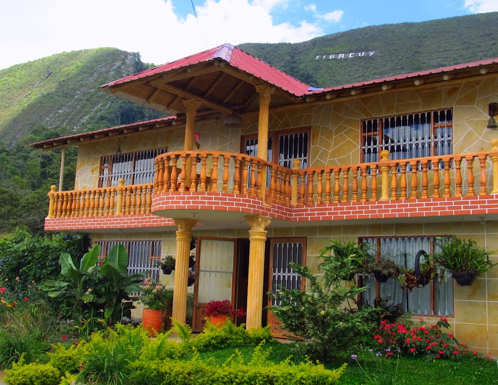 Tibacuy: Flora & Fauna