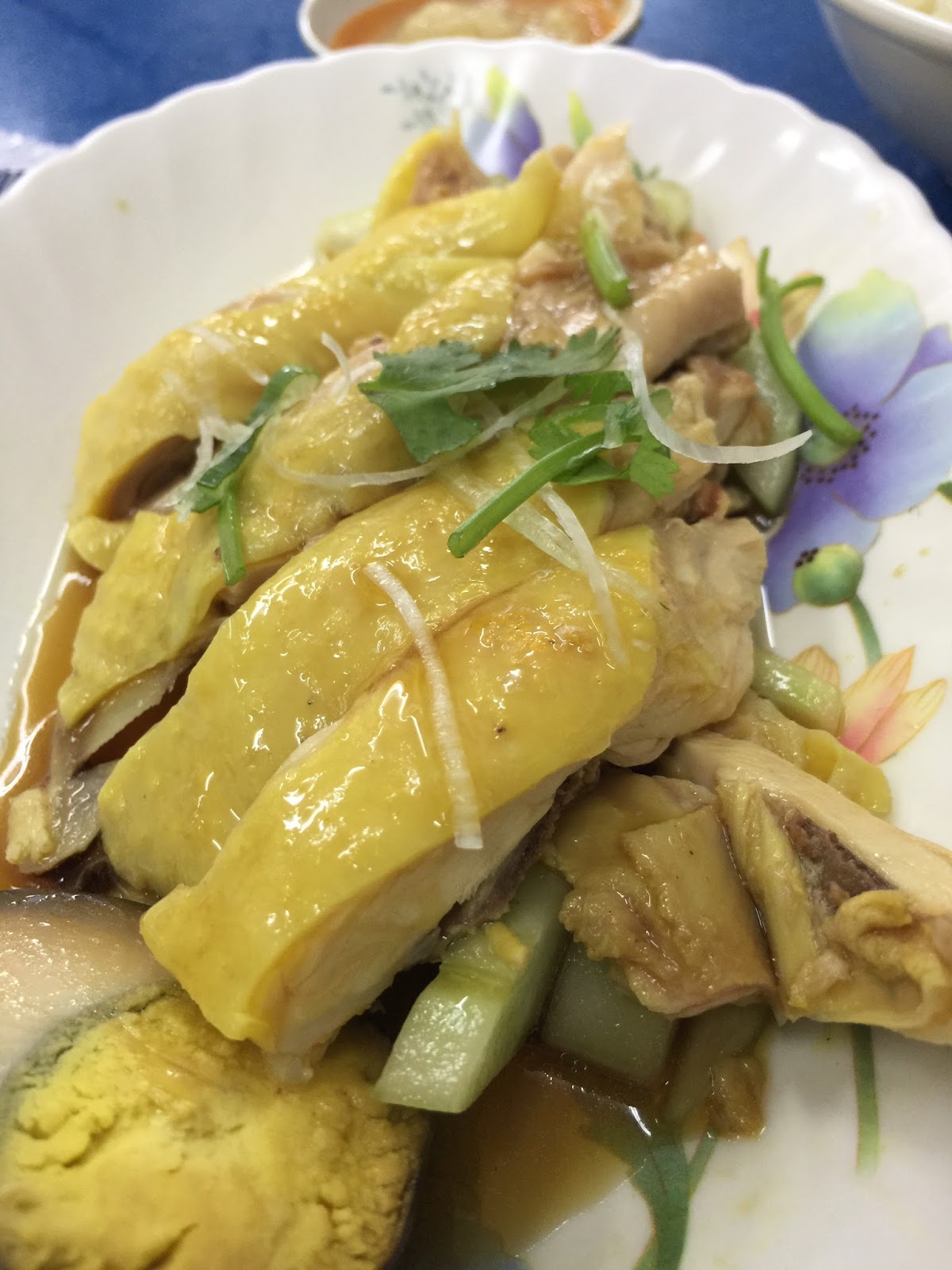 Adventures of RaRa and Reddy: Chicken Rice Fix @ Kampong Chicken Eating ...