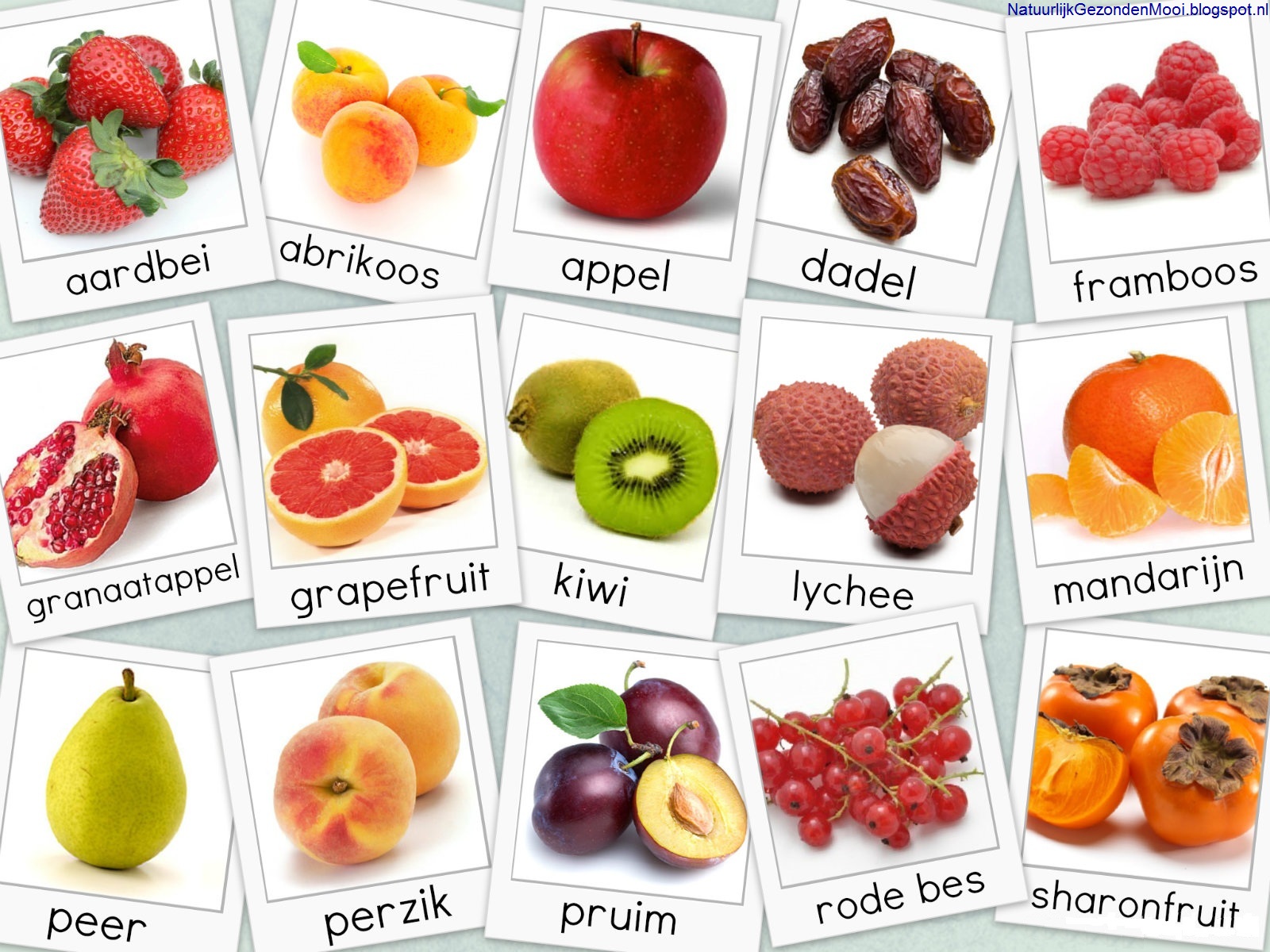 CBS Regenboog - Wilsum :: regenboog-wilsum