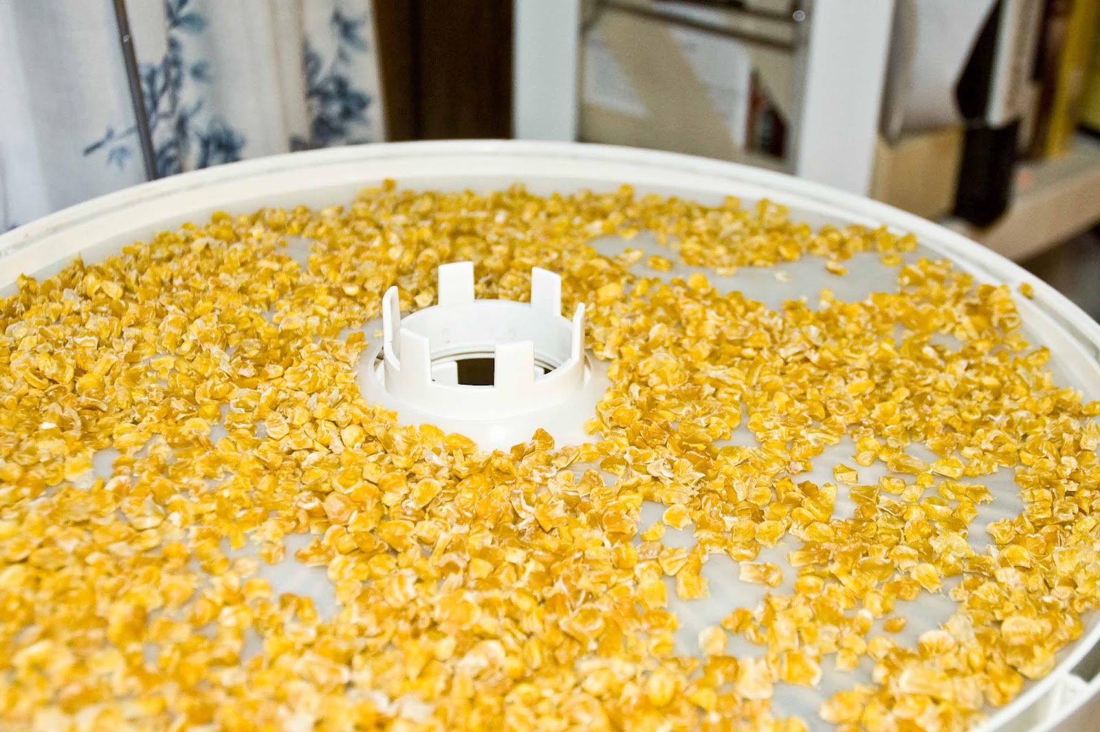 Dehydrating Way Beyond Jerky: Dehydrating Frozen Veggies