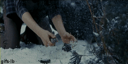:.The Twilight Saga.:: :.Gifs.: