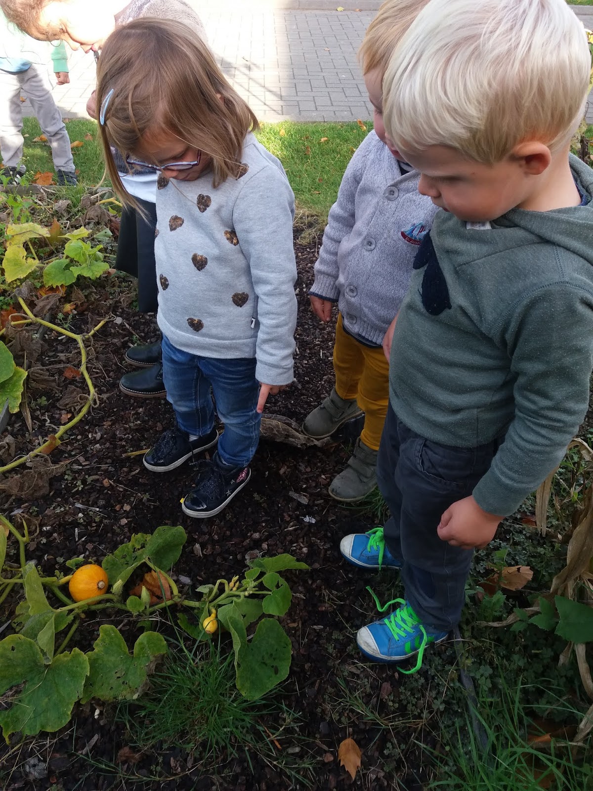 Peuterklas B / 1e kleuterklas B - juf Karolien / juf Amber en juf Jelte ...