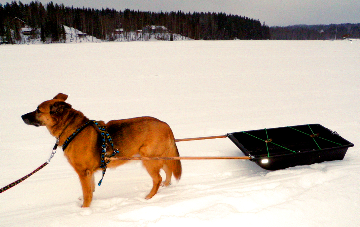 Old Path: tammikuuta 2013
