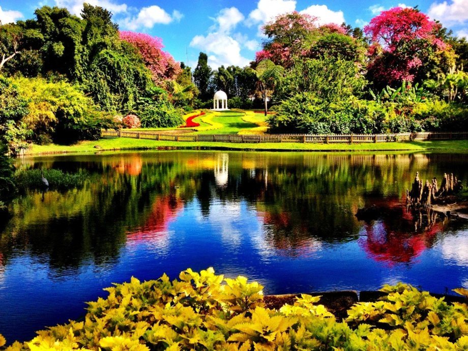 Download Wallpaper bertema ALAM | SELALU KOPAS