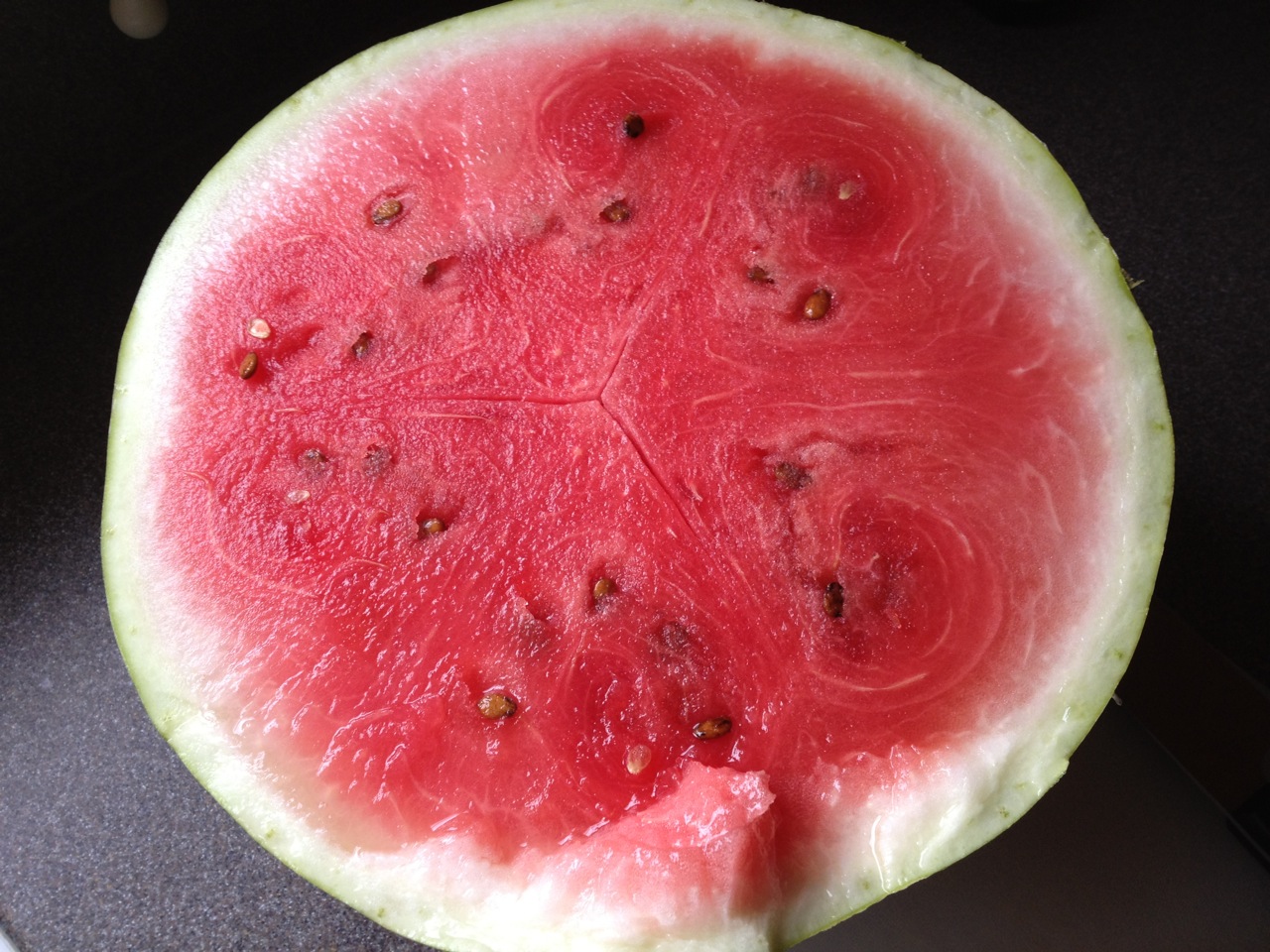 Observations on the New Vegetable Garden