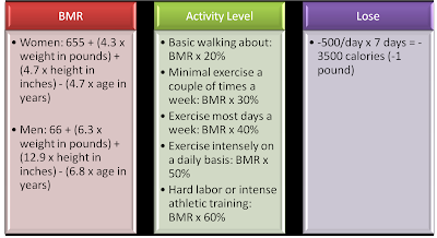 Eights and Weights: Back to Basics Part Two: How Exercise Fits In