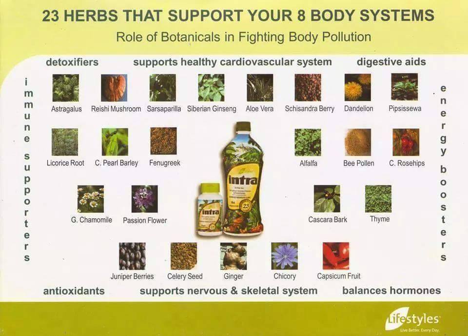 PENGEDAR JUS INTRA 23 HERBA