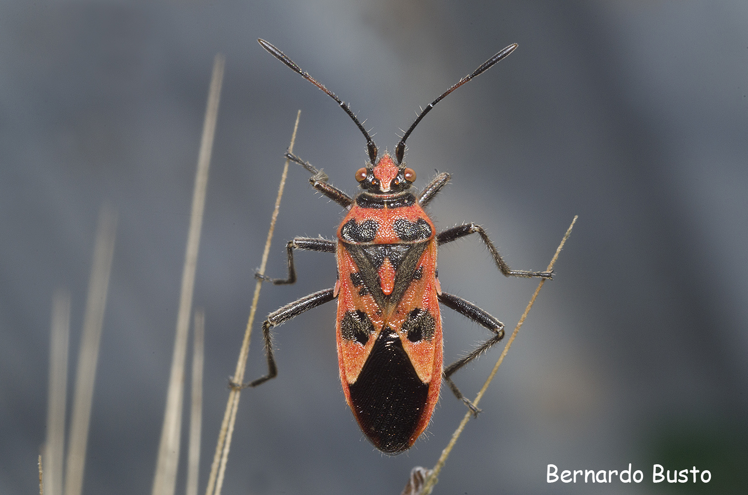 RÍA DE LA VILLA: julio 2015