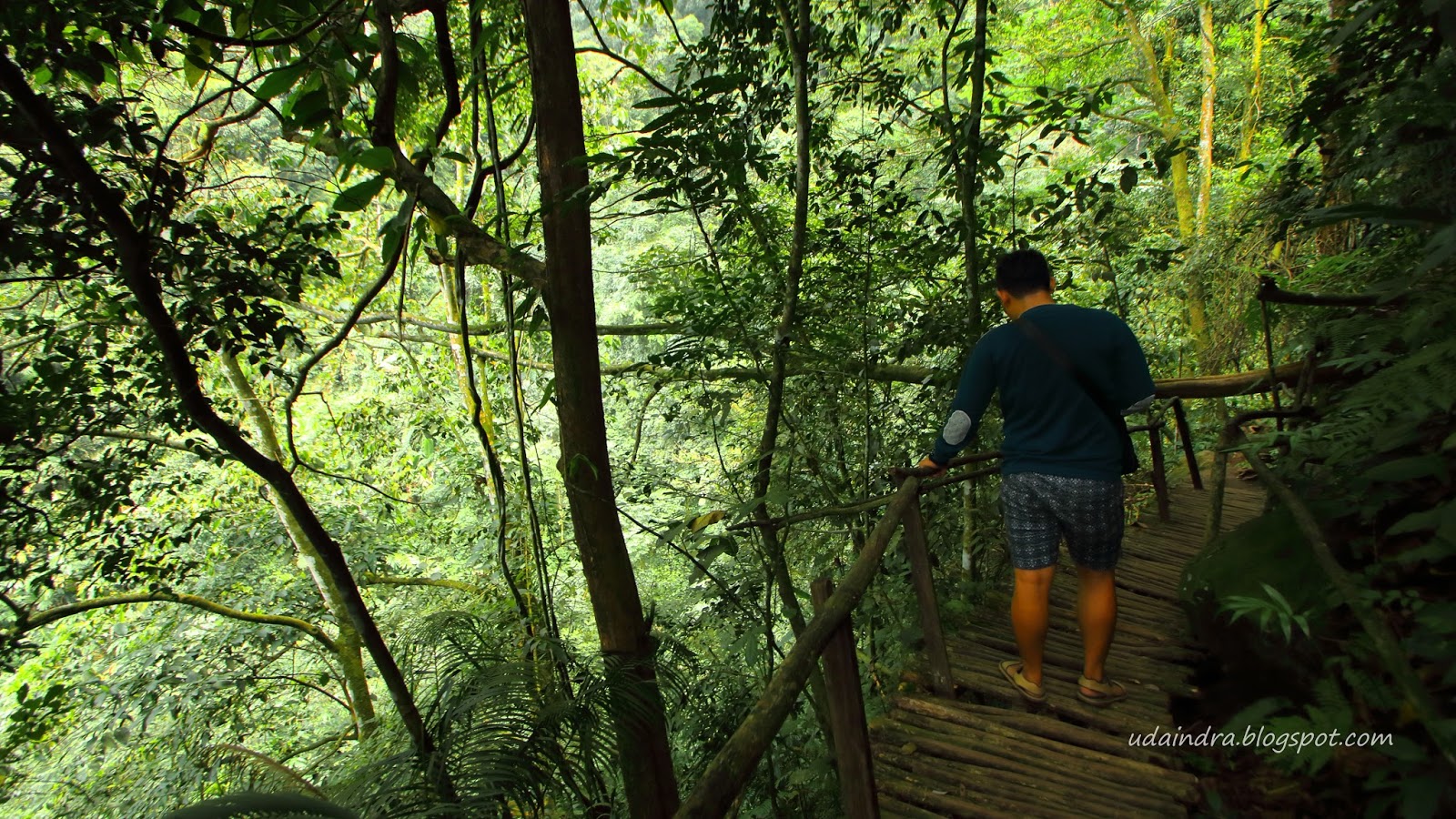 Mengunjungi Suaka Elang dan Curug Cibadak-Loji, Bogor
