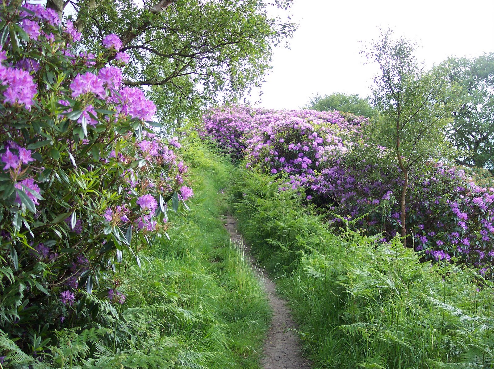 Endurance Adventures: The Baslow Boot Bash- Event Report