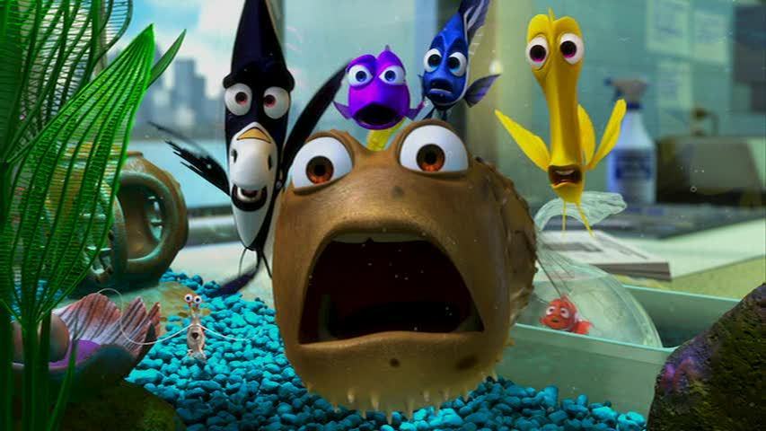 Finding Nemo Starfish The Tank Is Clean