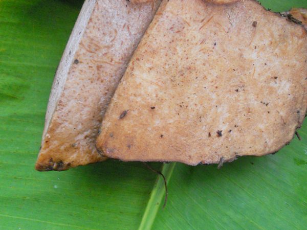 Chena Mezhukkupuratti Recipe