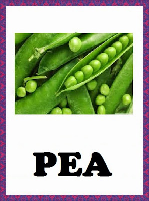Kindergarten Worksheets: Vegetables Flashcards - Pea