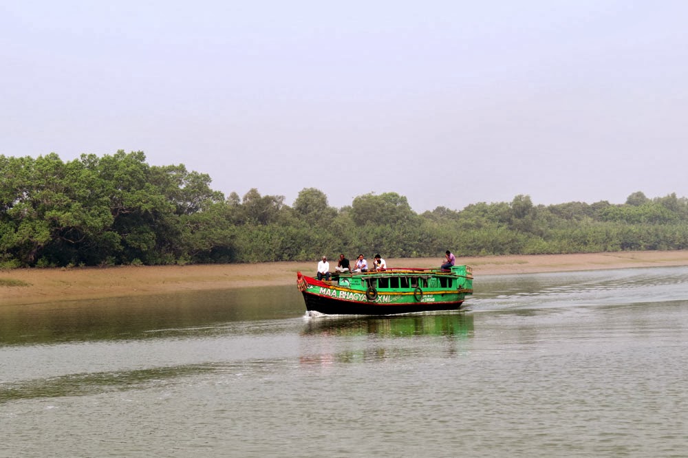 Just About Everything: Bhitarkanika National Park, Odisha, India