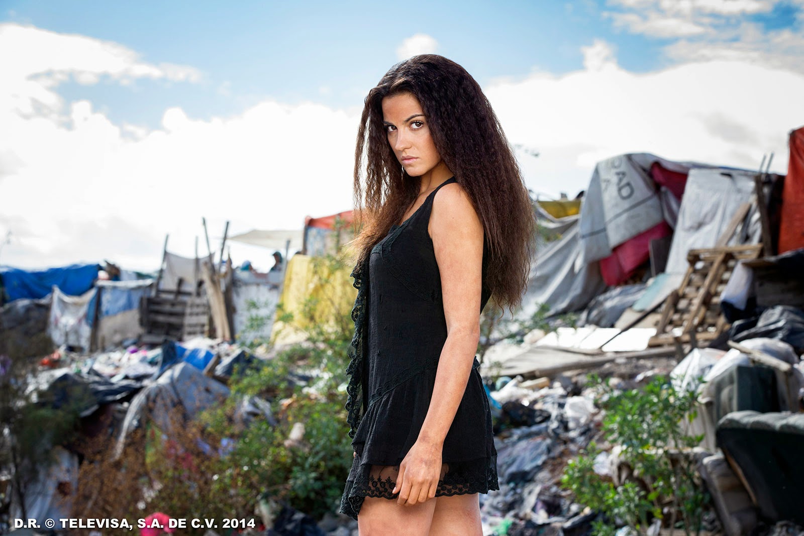 Galeria: La gata (galeria 1)