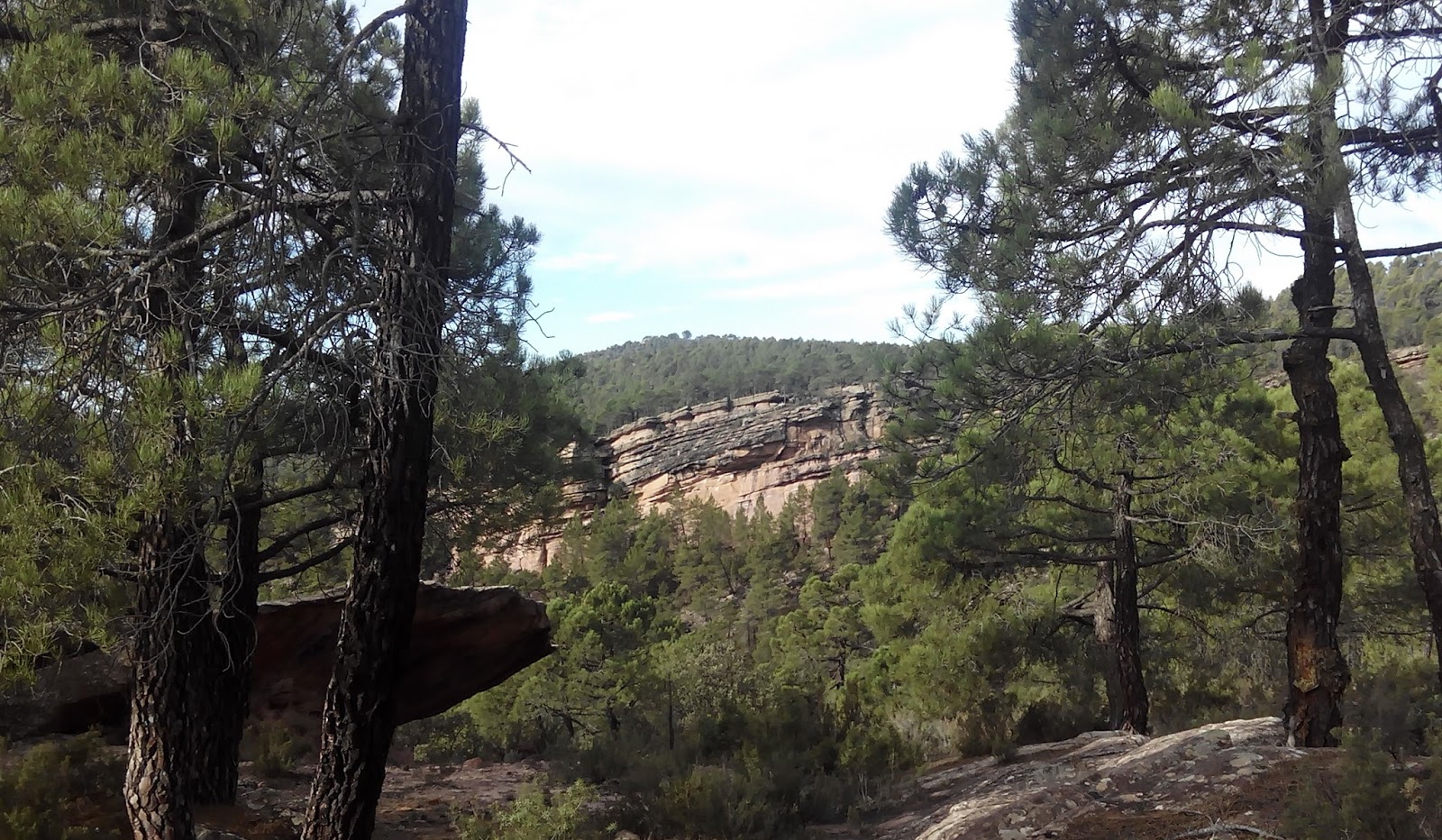 Sierra de las Cuerdas. Pinturas Rupestres de Villar del Humo, Torre ...