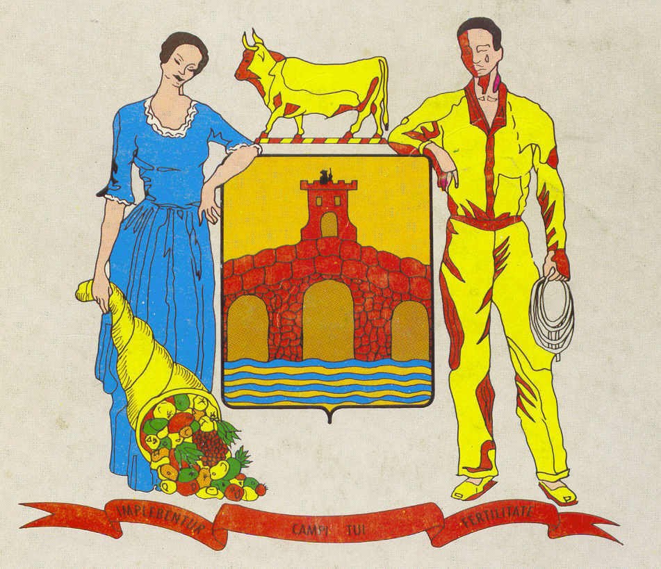 la galeria de los escudos de los municipios y parroquias de venezuela ...